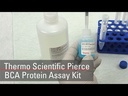 Thermo Scientific™ Pierce™ BCA Protein Assay Kit | LabMart Limited